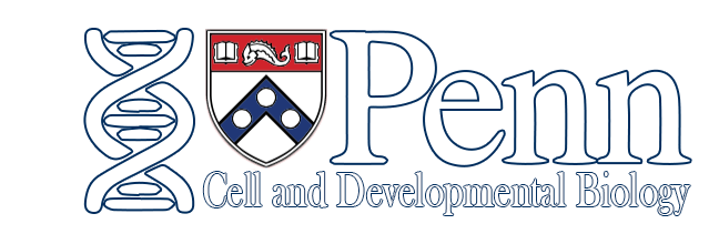 Vascular Biology 2024 - North American Vascular Biology Organization