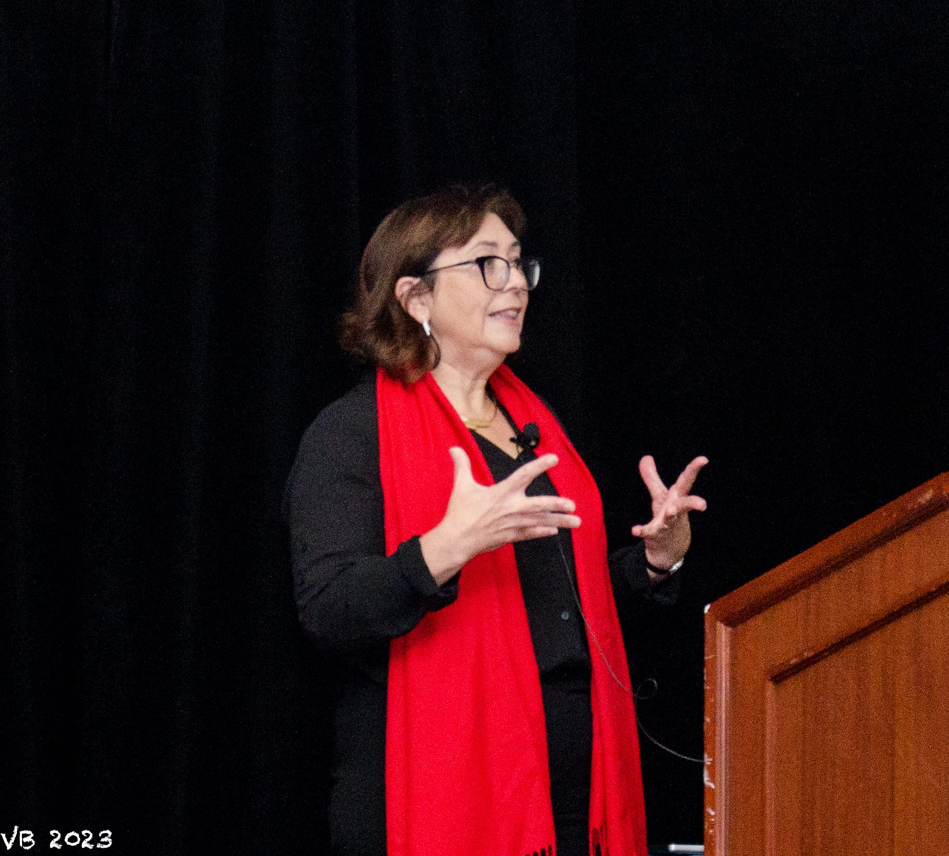 VB2023 Photographs - North American Vascular Biology Organization